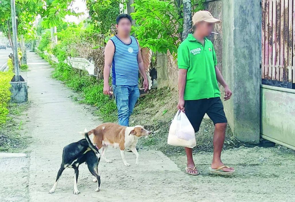 Animal bite cases overwhelm Iloilo vaccine supply; Nearly 70,000 ...