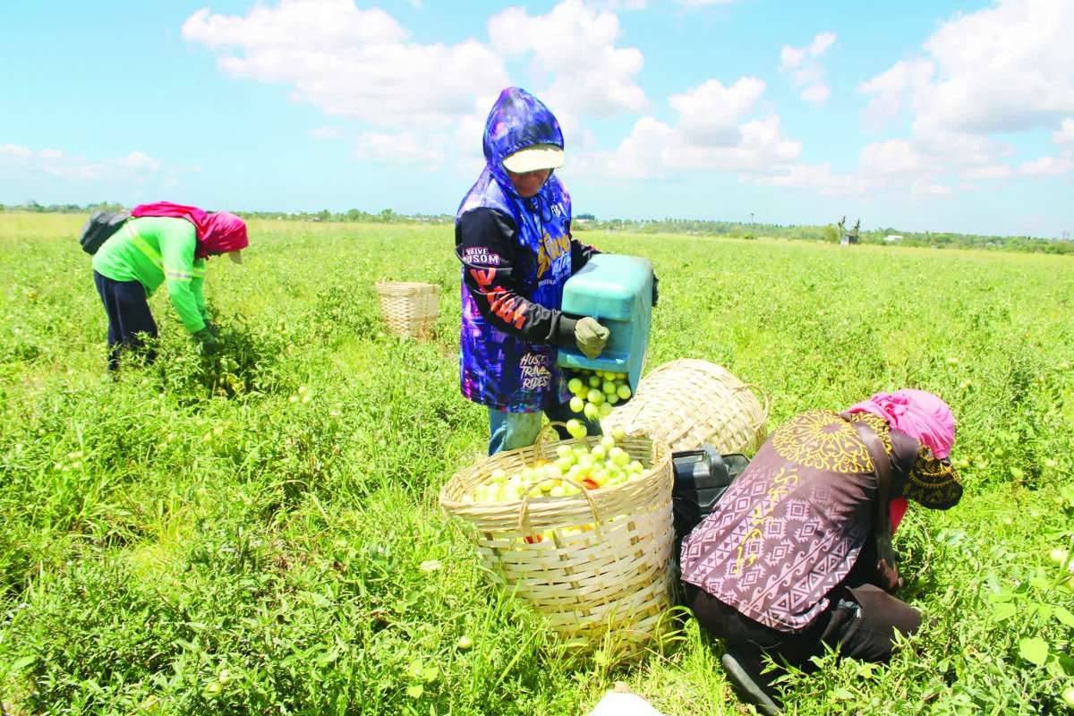 WORST HEAT STILL AHEAD, PAGASA: Temperatures intensify as dry season peaks