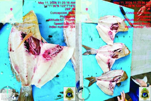 BFAR confirms blast fishing in Iloilo waters after laboratory tests on ...