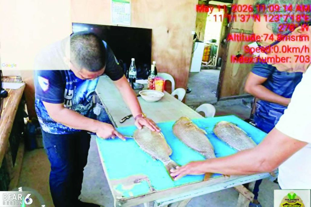 BFAR confirms blast fishing in Iloilo waters after laboratory tests on ...