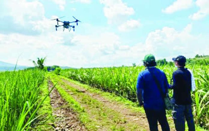 SRA deploys drones vs RSSI infestation affecting over 2,200 hectares in ...